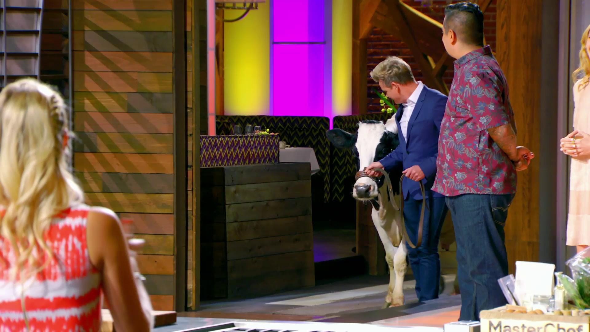 FOX Broadcasting Company | Full Episodes, Shows, Schedule